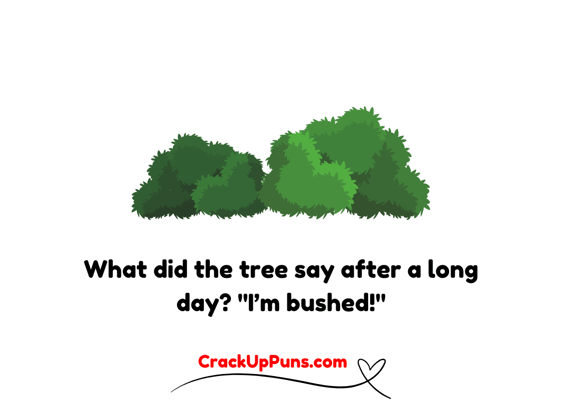 100+ Tree Puns That'll Leaf You Laughing! - Crack Up Puns