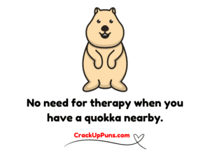 120 Quokka Puns: A Delightful Dive into the World of Humor - Crack Up Puns