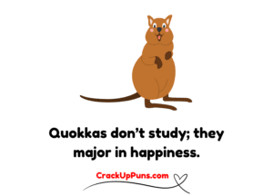 120 Quokka Puns: A Delightful Dive into the World of Humor - Crack Up Puns